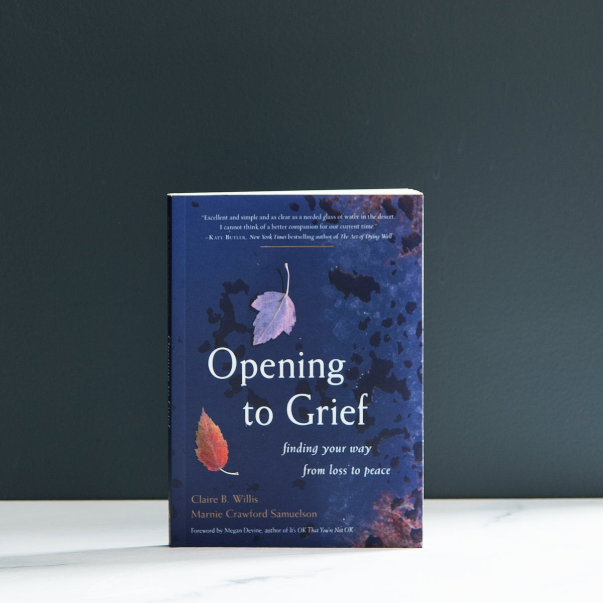 Opening to Grief